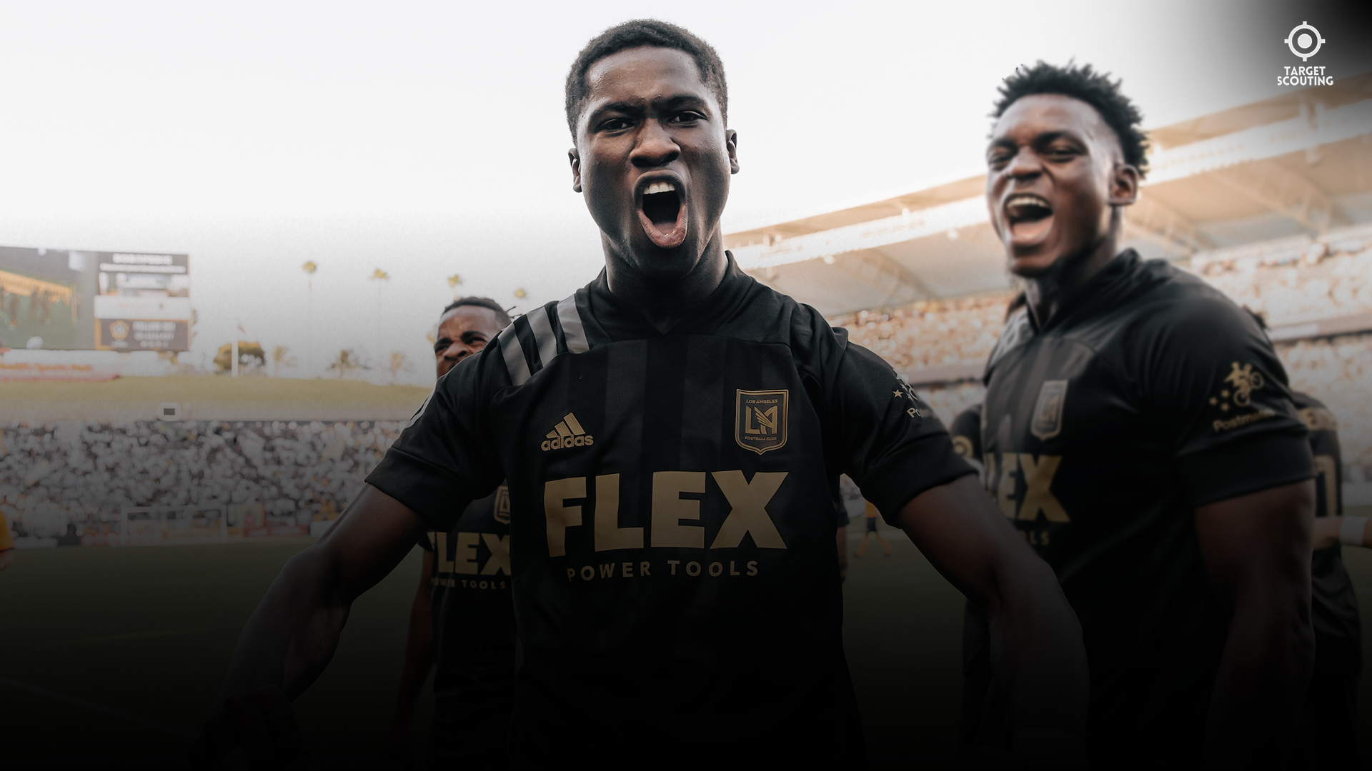 Mamadou Mbacke Fall – Player Report – Target Scouting